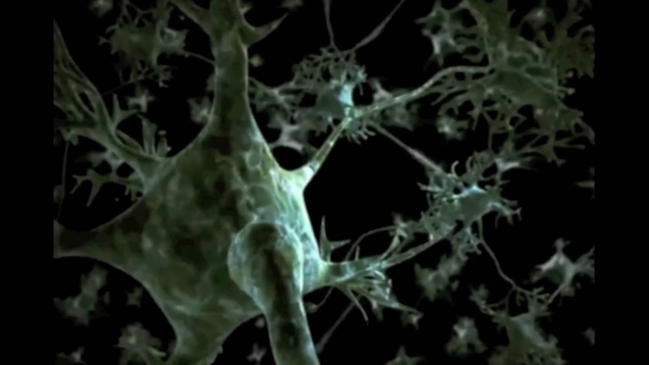 The Science of Electroanalgesia - NeuroMed - MATRIX System - YouTube