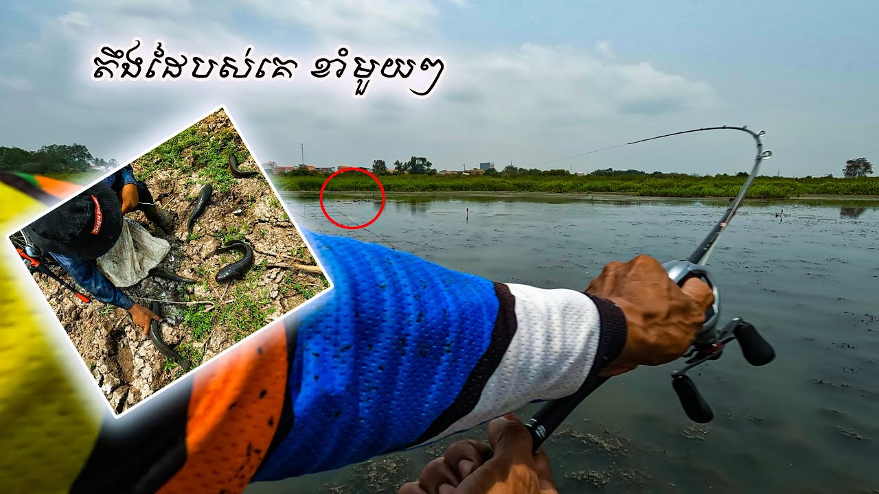 Two fishing rod and real casting |Snakehead fishing in the lake ...