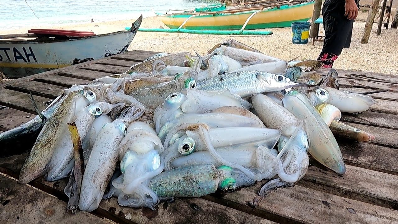Naglalakihan panos sa tabihan /pusit fishing - YouTube