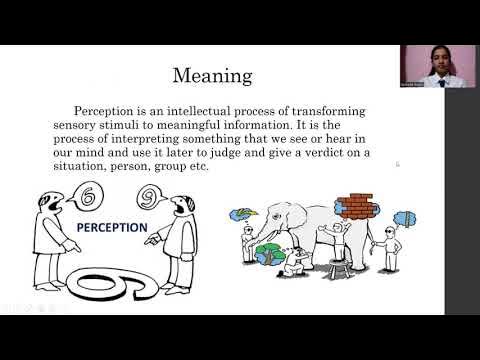 Organizational Behavior (Errors in Perception) - YouTube