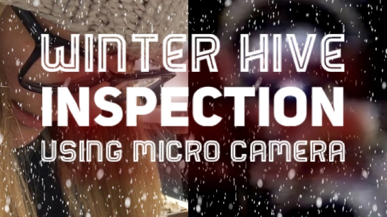 Winter Hive Inspection with Micro Camera - How to Check Bees in the ...