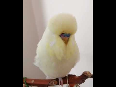 Annesine sevgi dolu bi çocukkk☺️💛