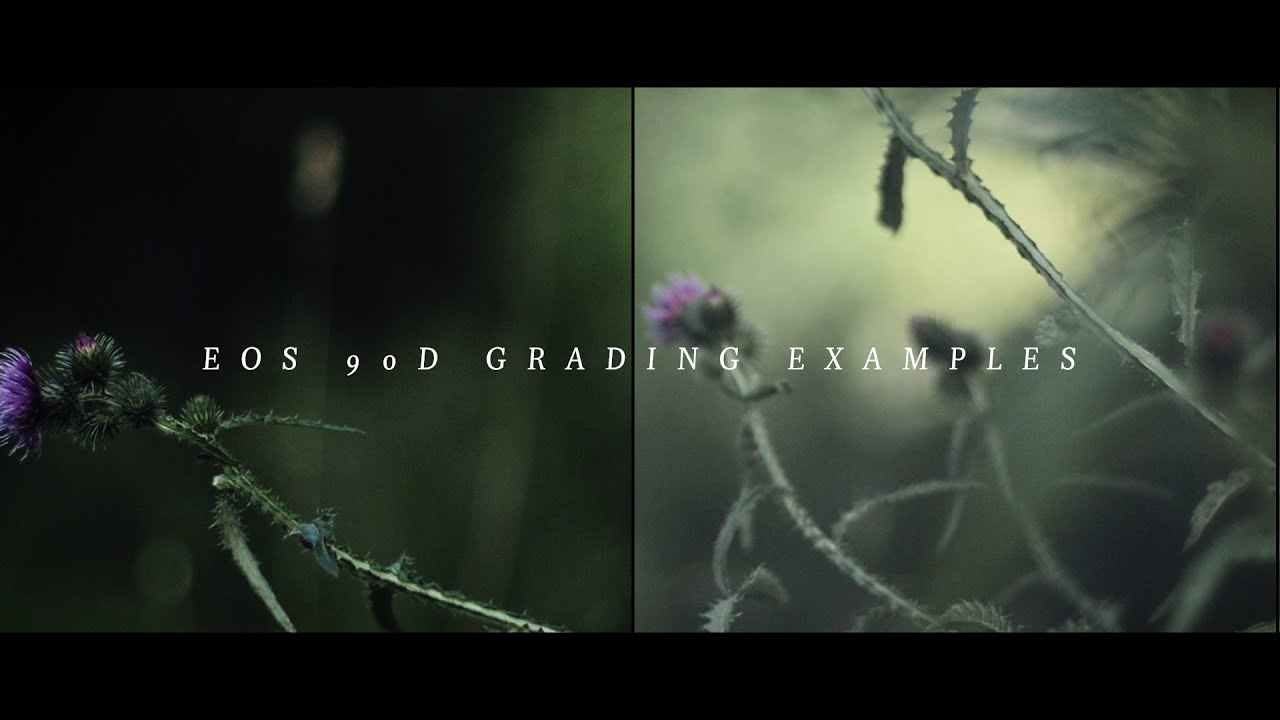 Grading examples from the Canon EOS 90D - YouTube