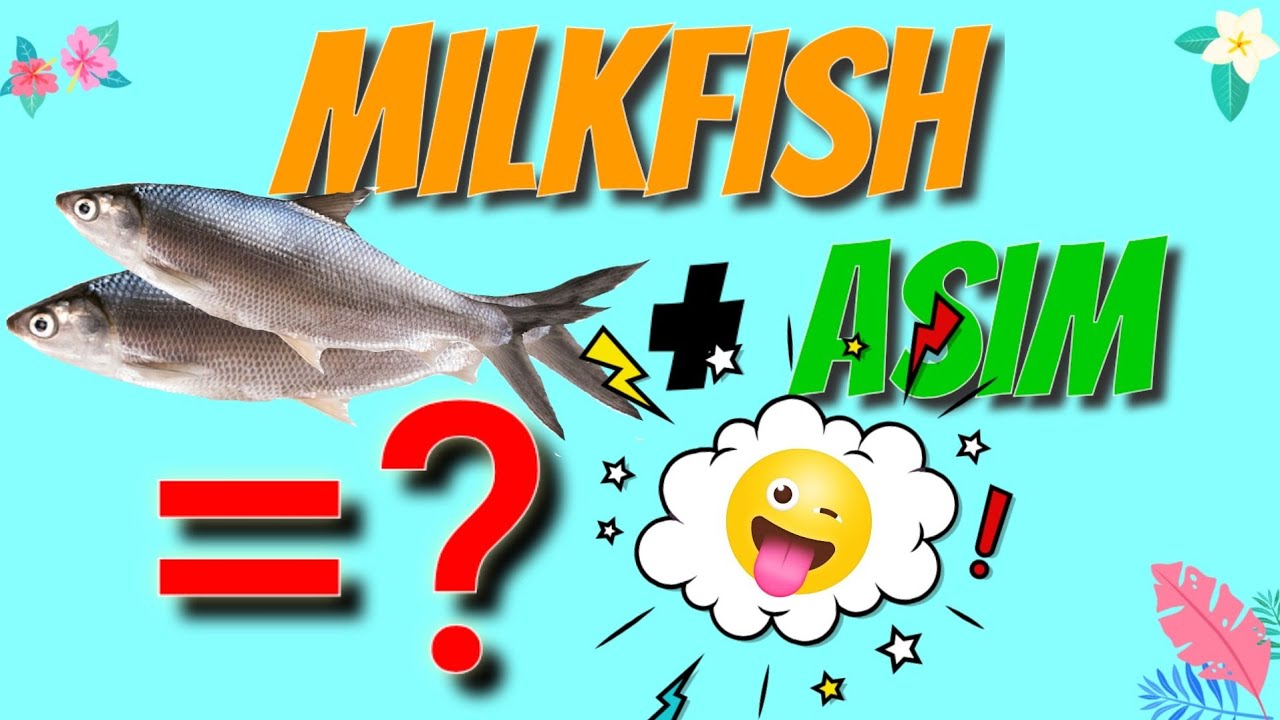 Head of MilkFish+Asim= - YouTube