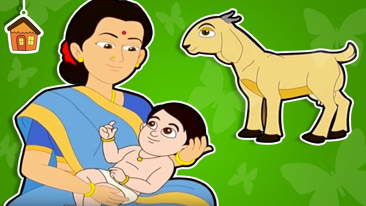 Bujji Meka And Many More Rhymes | Telugu Rhymes Collection For Children ...