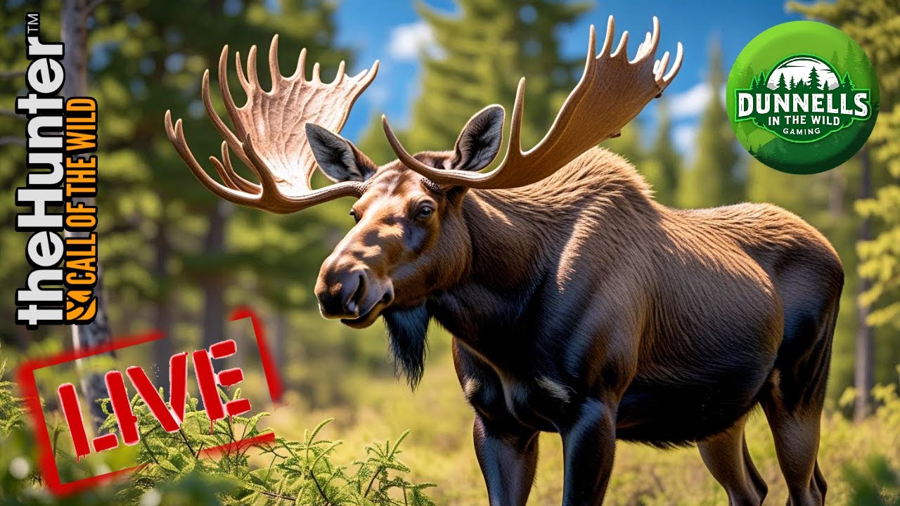Moose Mayhem! Great One Grind on Layton Lake (Portrait) - YouTube