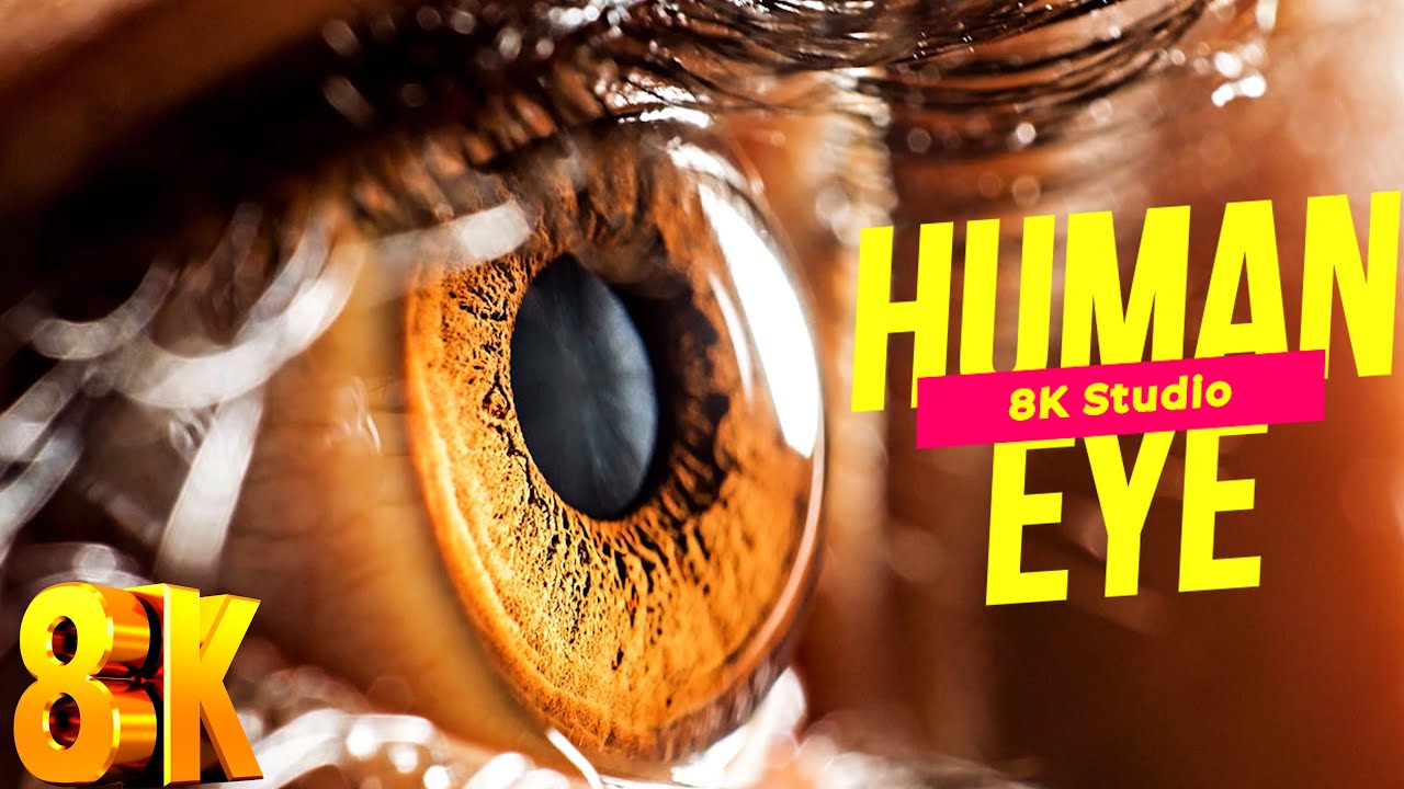 8k video HUMAN EYES Videos 60 Fps 8K ULTRA HD - YouTube