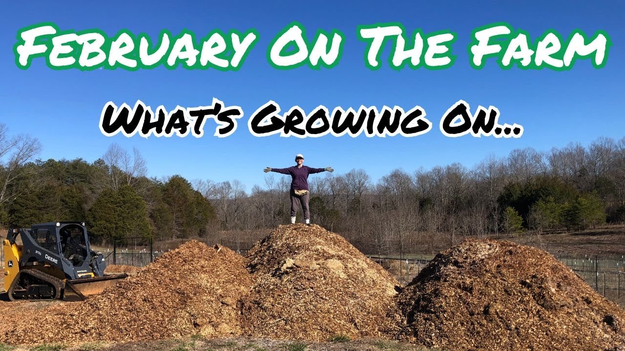 February Farm And Garden Update...So Much To Do! - YouTube