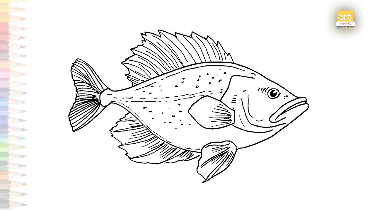 Halibut fish drawing easy | Art tutorial | How to draw A Halibut step ...