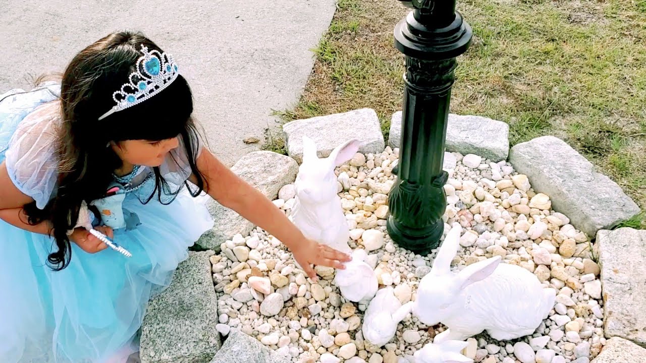 Hi Bunny🐇🐇🐇🐇 - YouTube