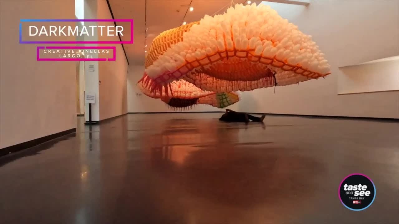 The Gallery at Creative Pinellas: DARKMATTER | Taste and See Tampa Bay - YouTube