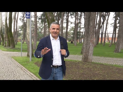 Dünyanın En Yaşanabilir Şehirleri Arasına Nasıl Girdiler? Bu Başarının Ardında Sanayi ve Üretim Var.