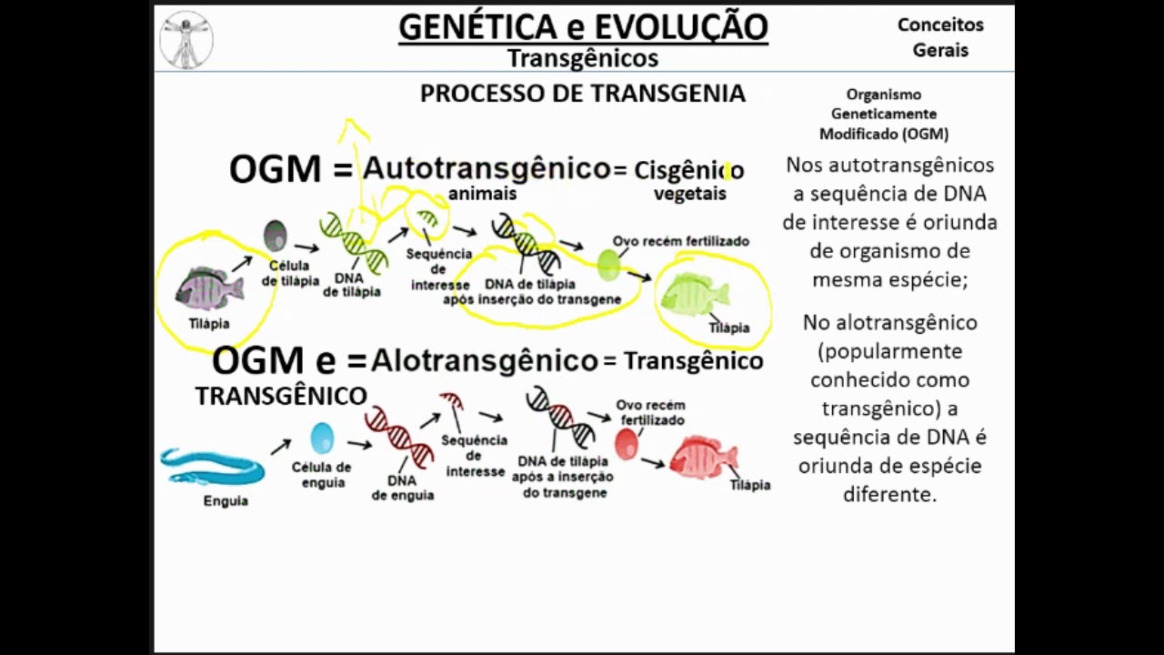 Transgênicos e Organismos Geneticamente Modificados (OGM) - YouTube