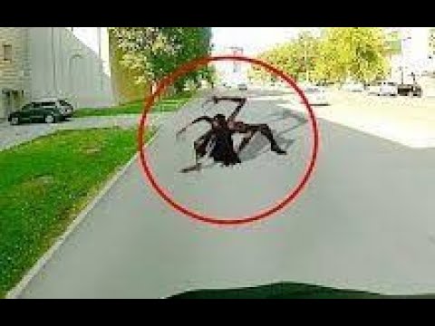 5 CREEPY CRAWLER CAUGHT ON CAMERA & SPOTTED IN REAL LIFE! *Reupload ...