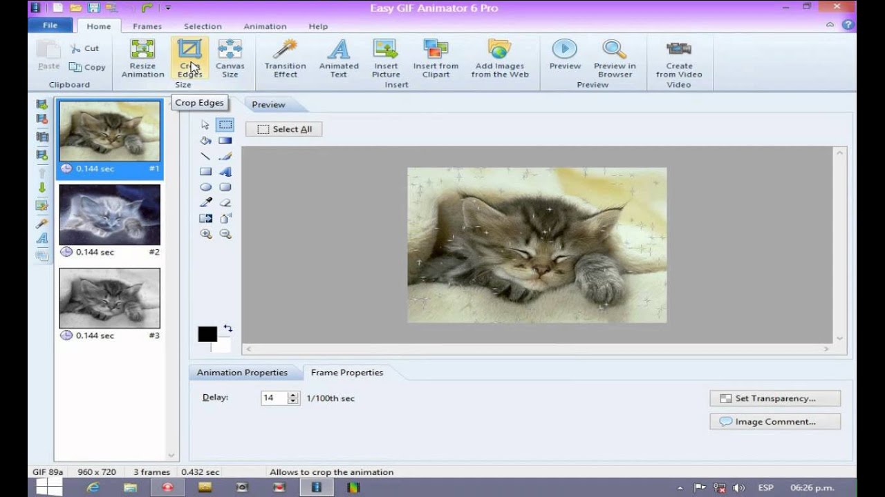 Easy GIF Animator Pro 6 - Part 2 - YouTube