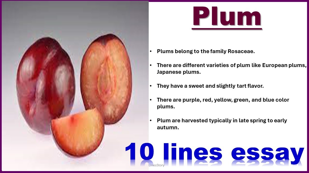 Plums || 10 lines on Plums || 10 lines essay on Plums - YouTube