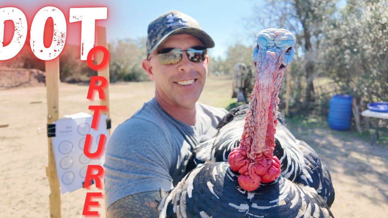 Pistol Accuracy Drill - DOT Torture - YouTube