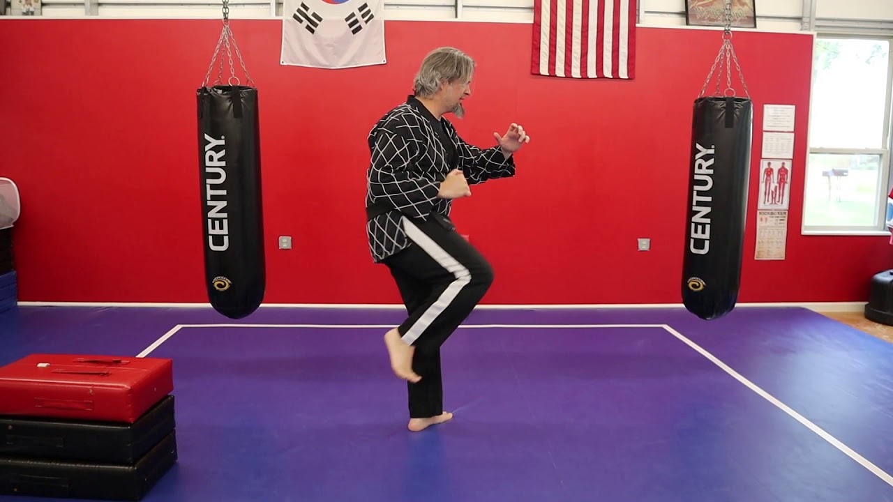 Basic Front Snap Kick - YouTube