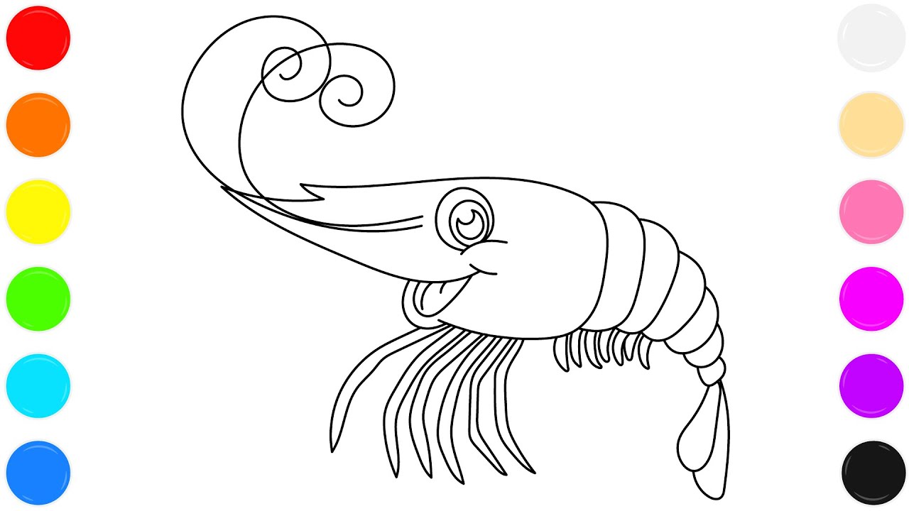 🦐 Shrimp Coloring Page for Kids | Learn Colors with Cute Shrimp Drawing ...
