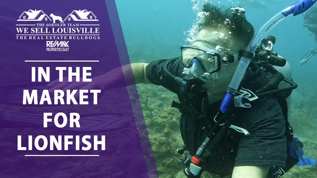 Hunting Lionfish and Understanding the Market - YouTube