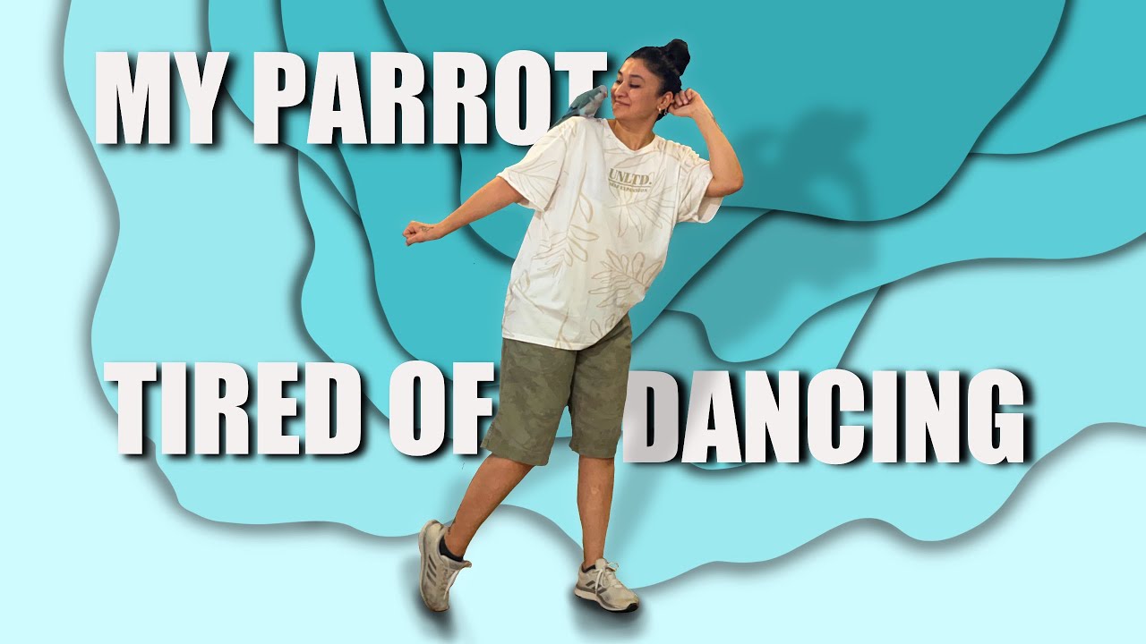 HOW TO LEARN DANCE STEPS FOR BEGINNERS/ HOW TO DANCE #dance #dancevideo ...