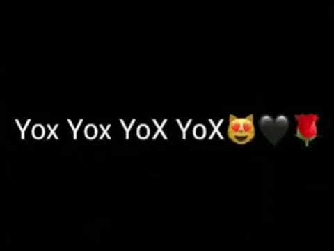 😻❤