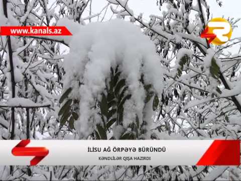 QAXA QAR YAGDI