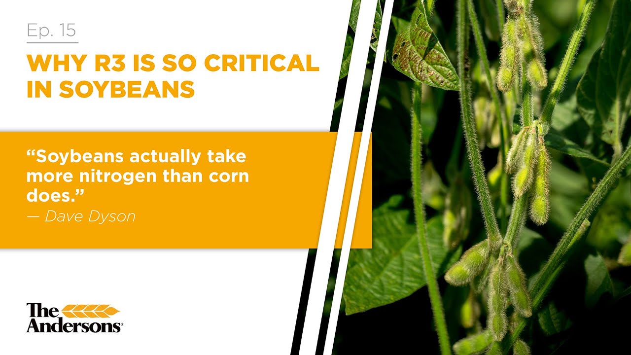 Episode 15 | Why R3 is so Critical in Soybeans - YouTube