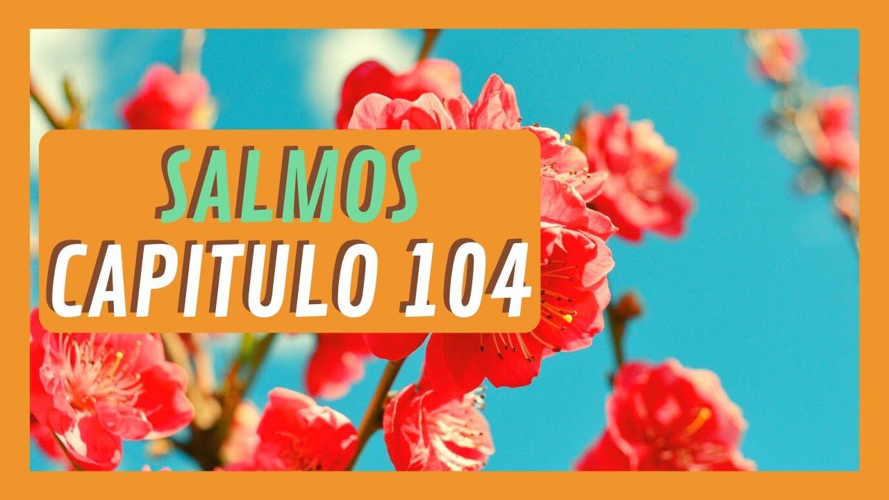 SALMOS CAPITULO 104 - PDT - AUDIO BIBLIA - YouTube