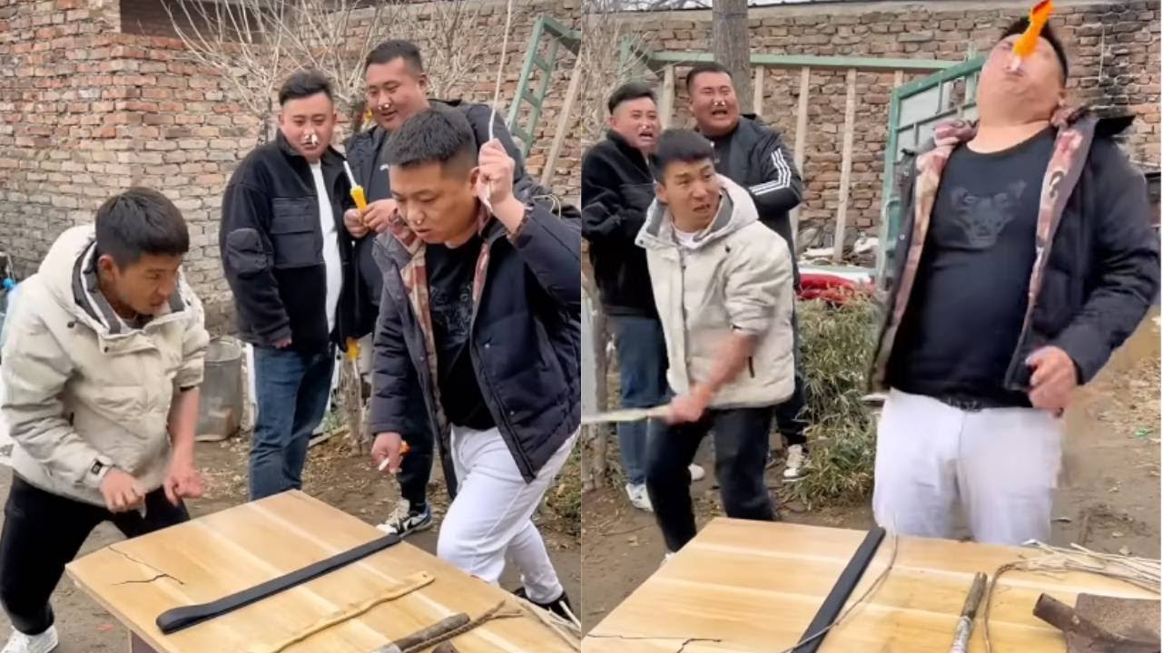 The Reaction Challenge of Fetching Things from the Bag, Lion King ...