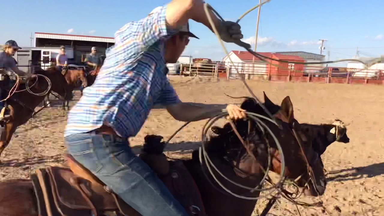 KPRA 2018 Open Team Roping steers - YouTube