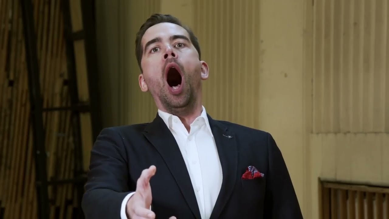 Ария Мефистофеля из оперы «Мефистофель» А.Бойто. Adam Palka. - YouTube