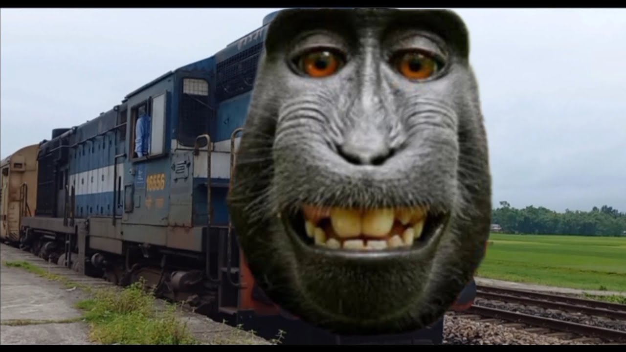 Funny train || Funny Baboon #funnytrainvideo #funnytrainvfx # ...