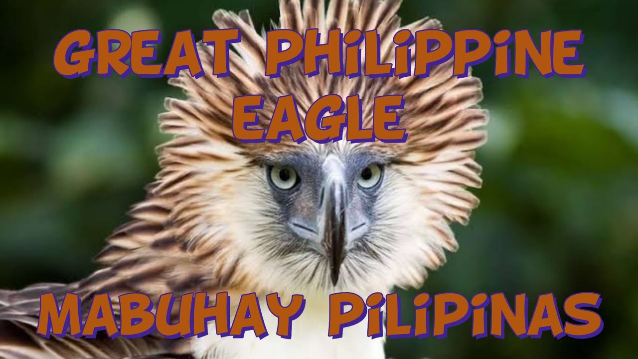 Pambansang Ibon Ng Pilipinas