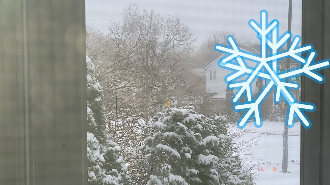 Livestream Snow Storm In Ontario - YouTube