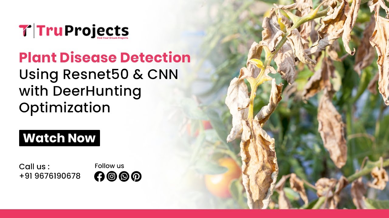Plant Disease Detection using Resnet50 & CNN with DeerHunting ...