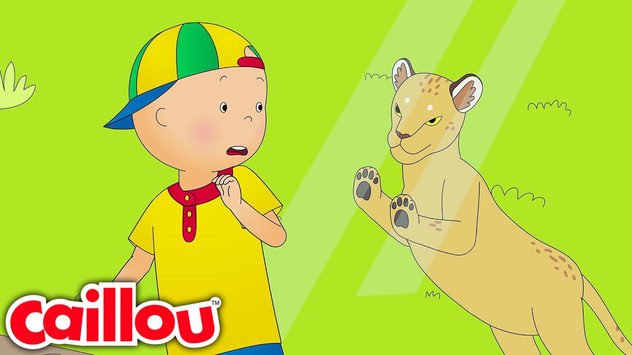 Caillou im Zoo | Die Neuen Abenteuer von Caillou - WildBrain | Lernen für Kinder - YouTube