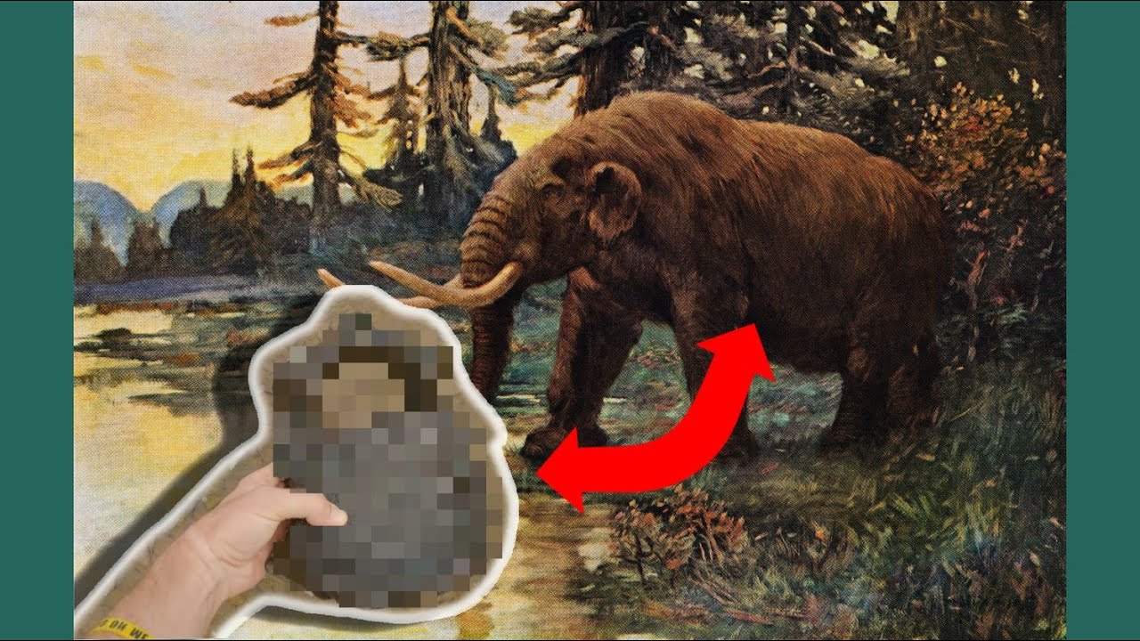 Arrowhead Hunting: Mastodon Bone Revealed By River! (2022) - YouTube