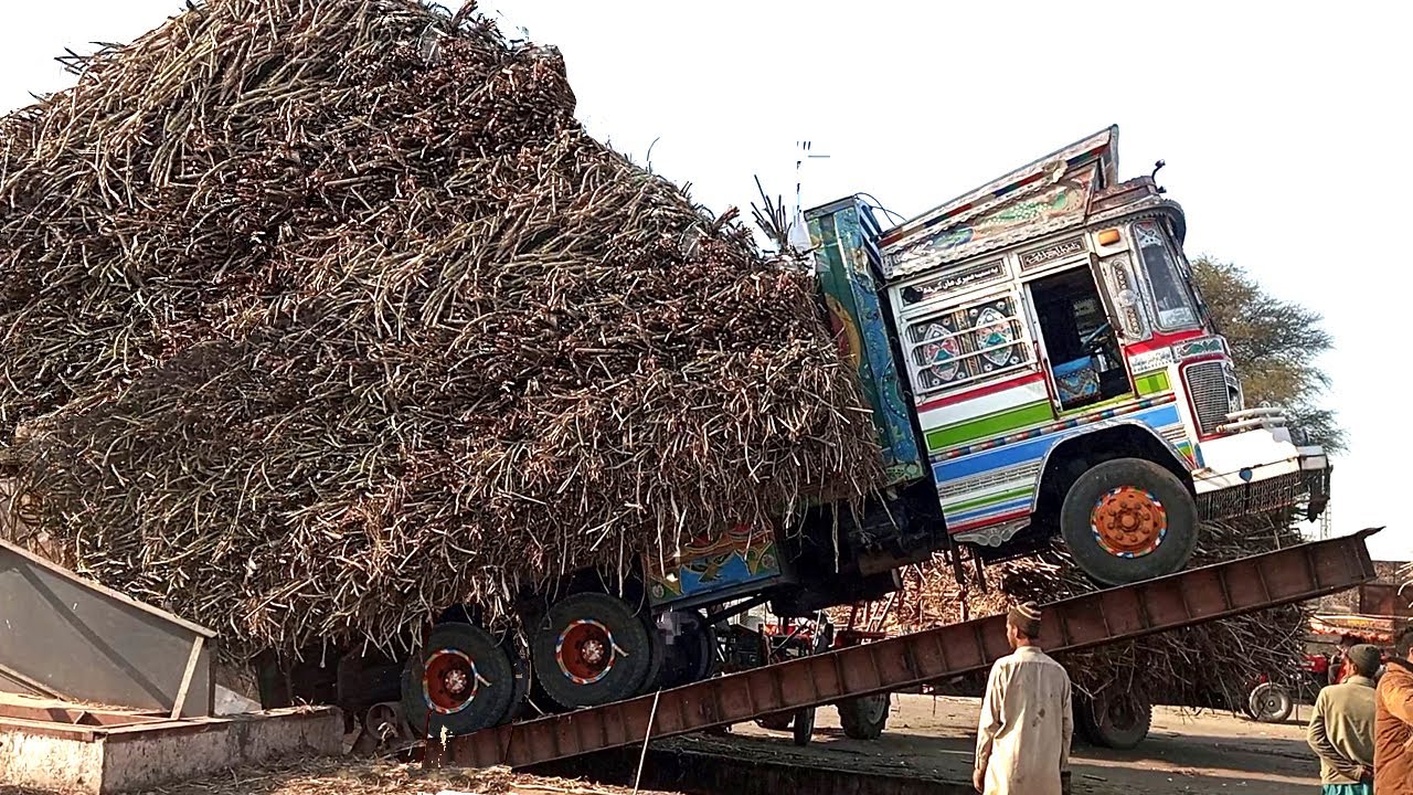 sugarcane truck Hydraulic Unloading System of Sugarcane mill - YouTube