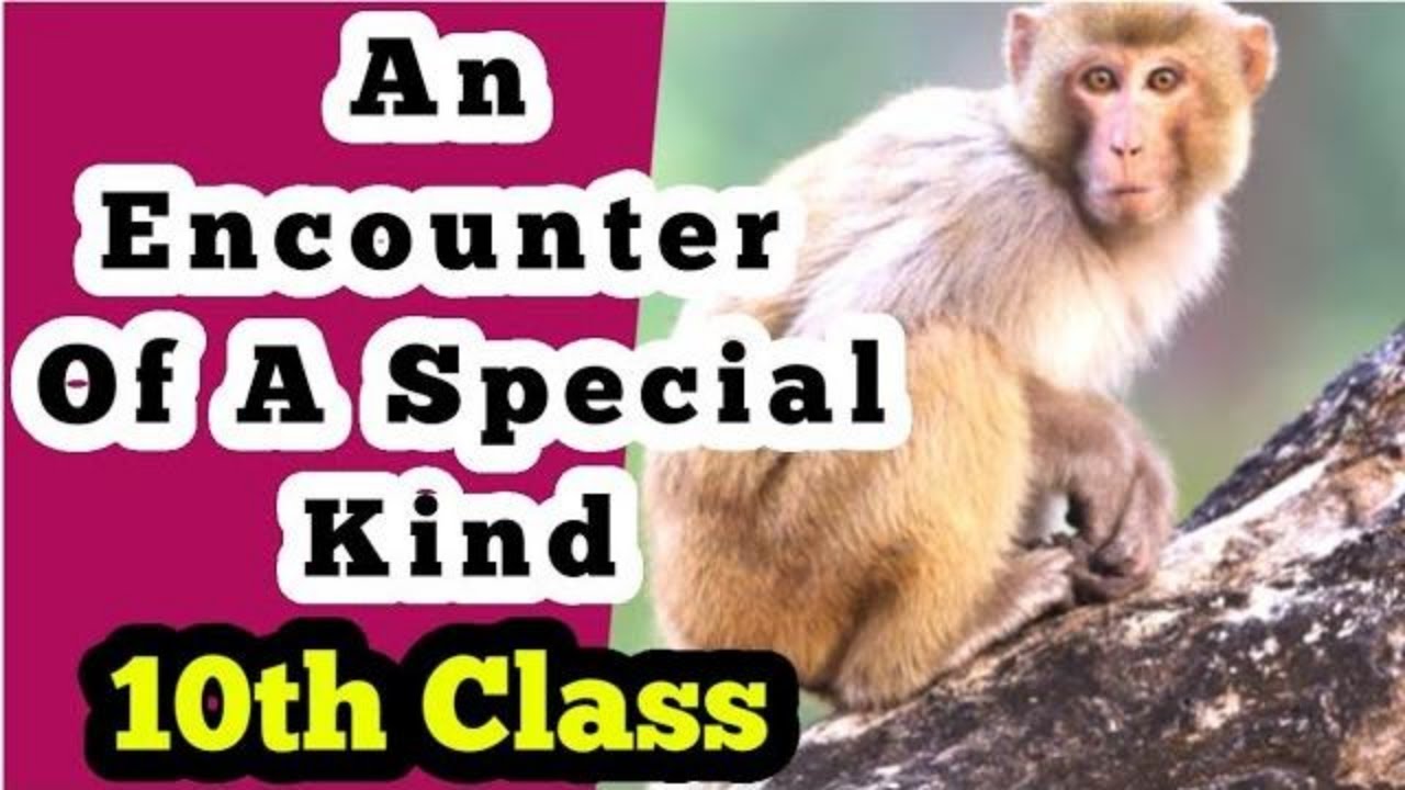 An Encounter Of A Special Kind 10th Class YouTube an-encounter-of-a-special-kind-10th-class-youtube