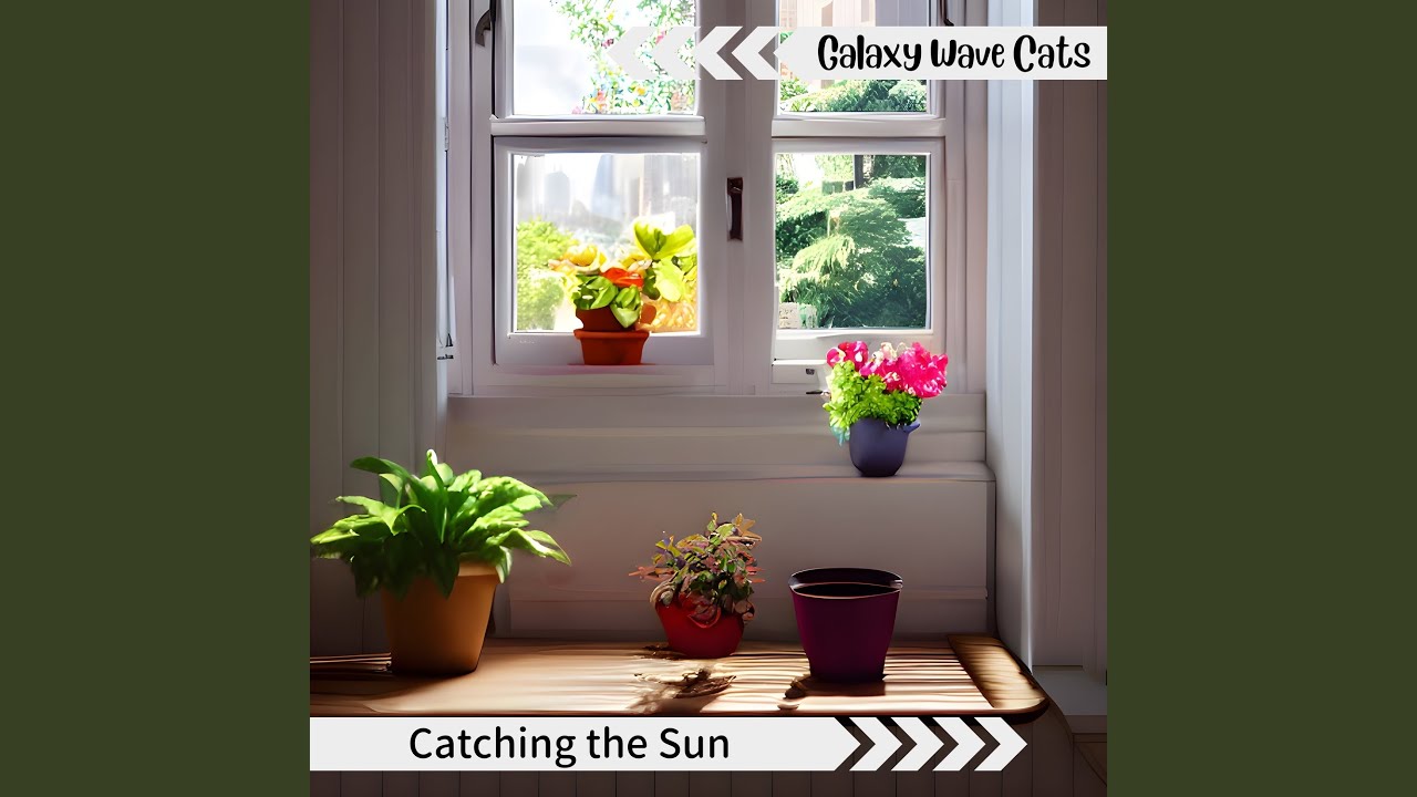 Sunshine Everyday - YouTube