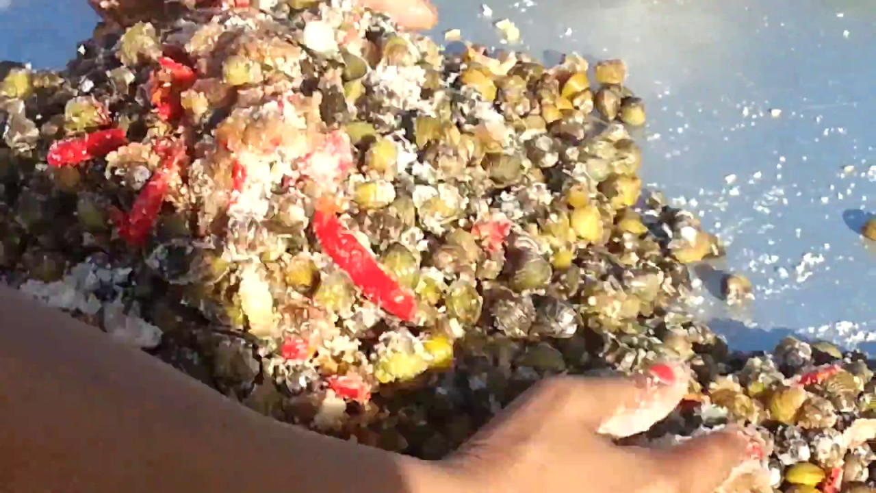 How To Make Leas Hal Recipe - How To Clam Dry Food Street #2 - YouTube