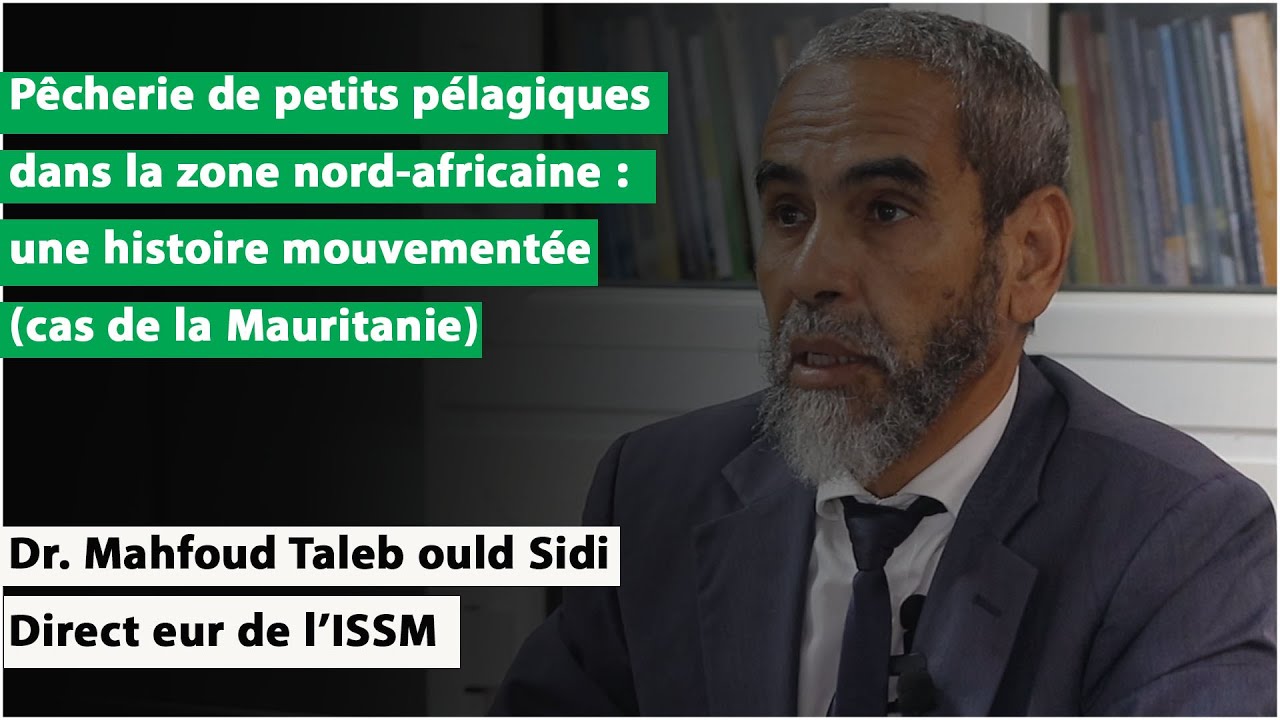 Pêcherie de petits pélagiques dans la zone nord-africaine - Dr. Mahfoud ...