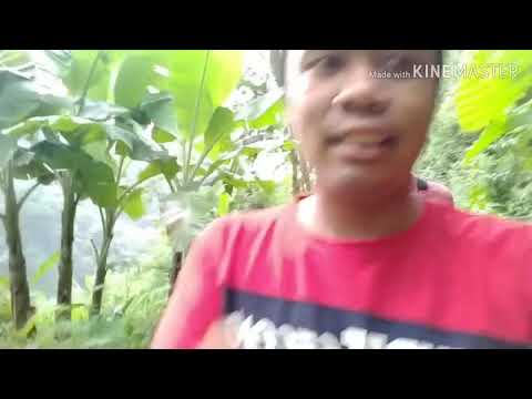 Di gunung mosari Jepara - YouTube