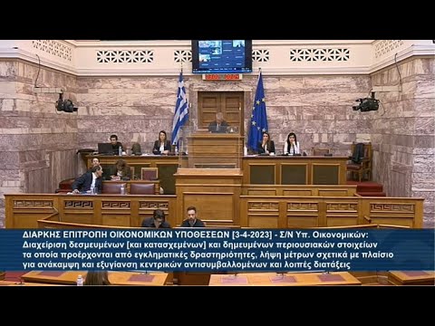 ΟΜΙΛΙΑ ΤΗΣ ΠΡΟΕΔΡΟΥ ΤΗΣ ΠΟΕ-ΔΟΥ, ΡΕΝΑΣ ΥΦΑΝΤΗ, ΣΤΗΝ ΔΙΑΡΚΗ ΕΠΙΤΡΟΠΗ ...