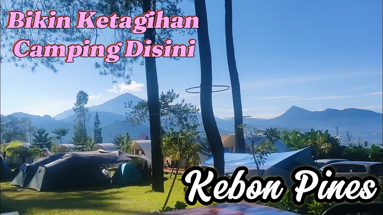 CAMPING GROUND KEBON PINES || CIKOLE LEMBANG || UPDATE TERBARU 2025 ...