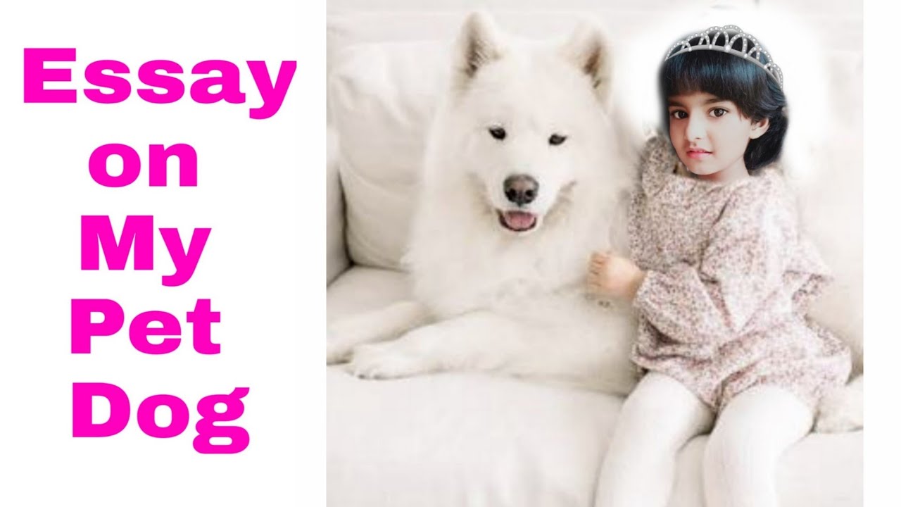 Essay On My Pet Dog Essay On My Dog My Favourite Pet 10 Lines On My Pet Dog essay-on-my-pet-dog-essay-on-my-dog-my-favourite-pet-10-lines-on-my-pet-dog