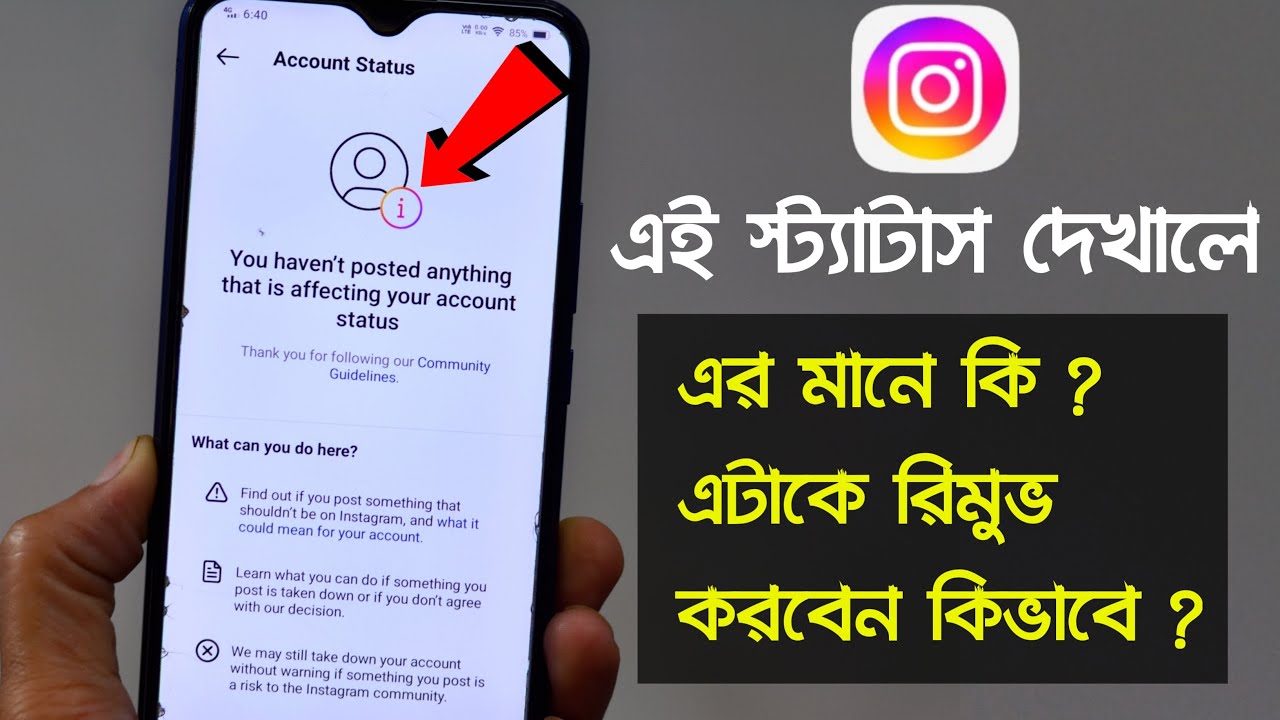 Instagram Account status | You haven't posted anything that is ...