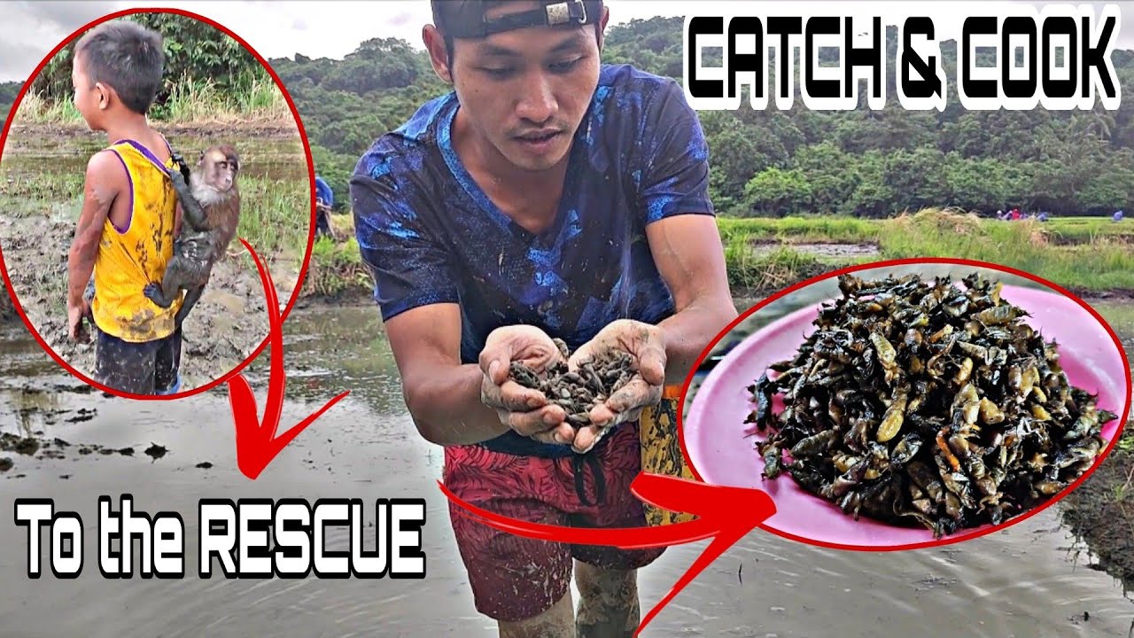 Cooking ILOCANO EXOTIC FOOD - AR RARAWAN / Pati si CHIEMEE to the ...