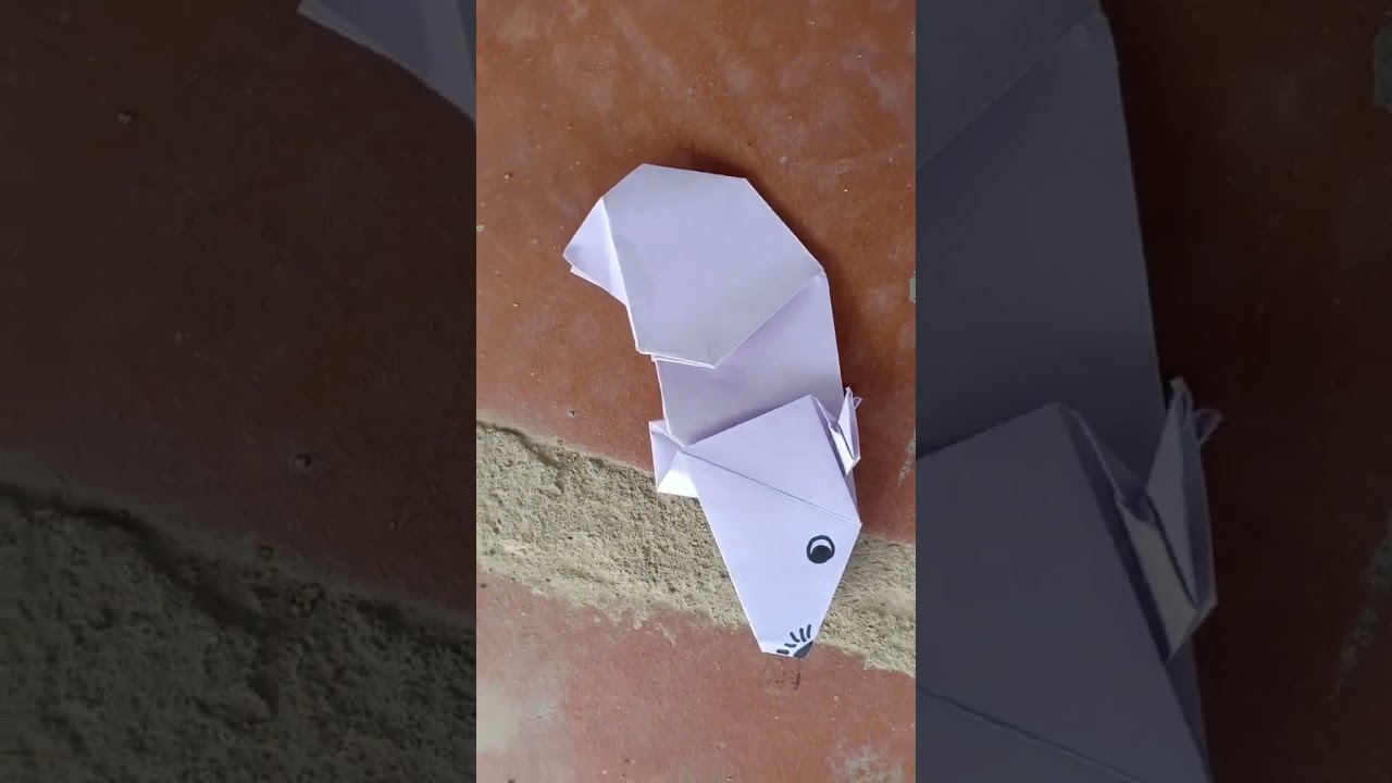 paper hamster - YouTube